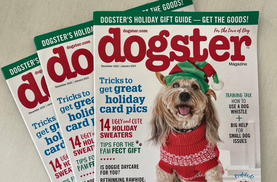 Dogster Magazine Feature: Holiday Gift Guide! | Hiddin
