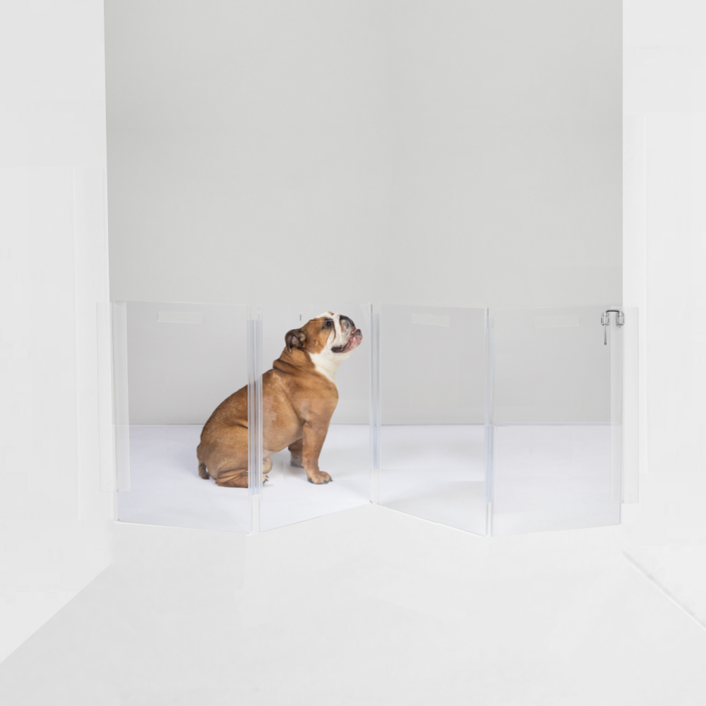 Acrylic gate | Wall Mounted Clear Pet Gate Zig Zag Gate | Hiddin