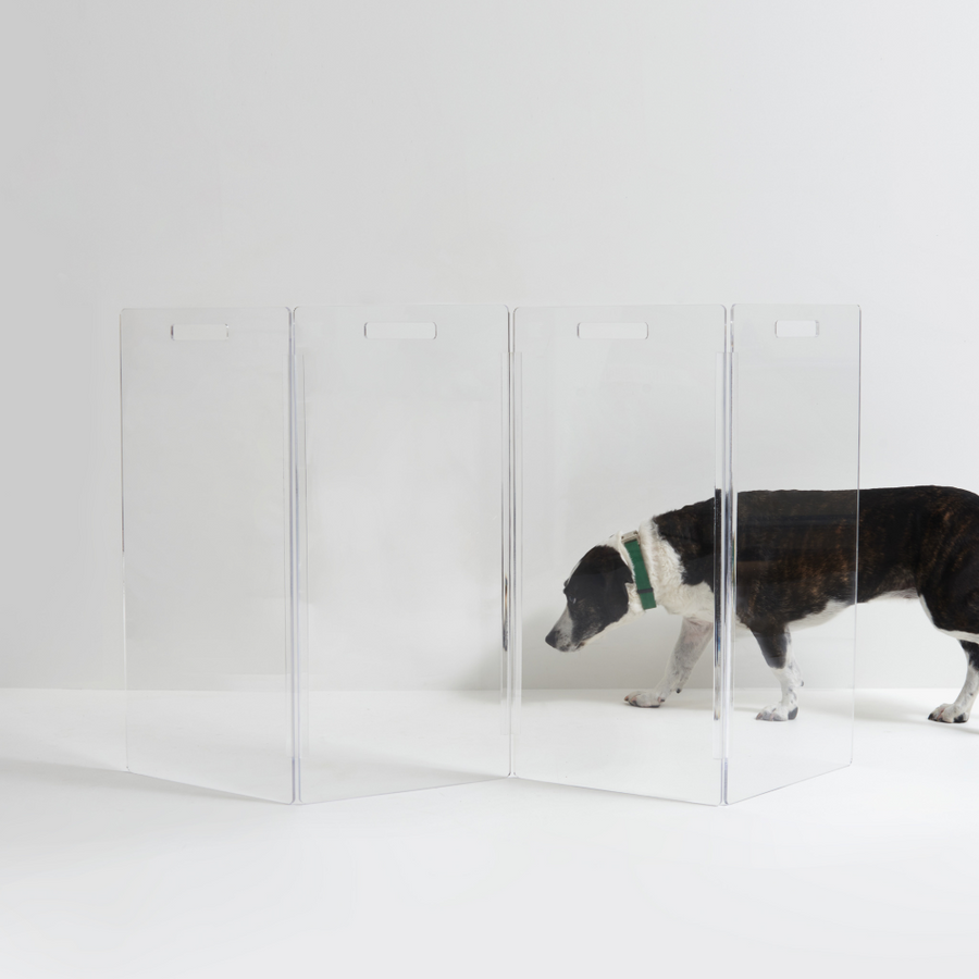 Clear Acrylic Pet Gate | Pet Gates Free Standing | Hiddin