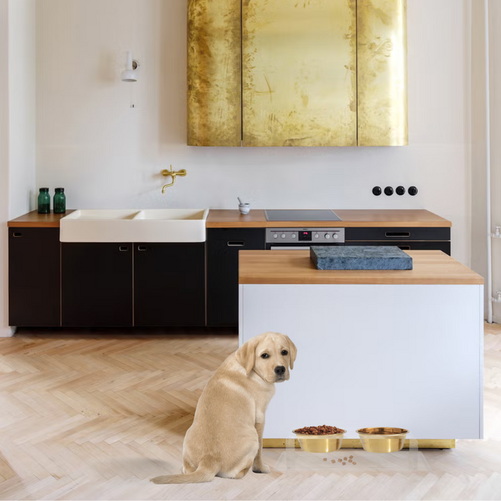 Clear Overflow Feeder Tray |Feeding tray for dogs | Hiddin