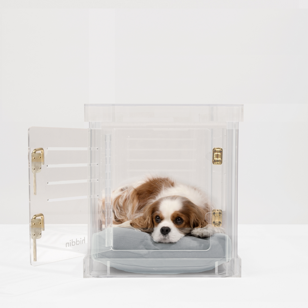Dog Crates for Small Dogs | Small Clear Dog Crate to Gate with Gold ...