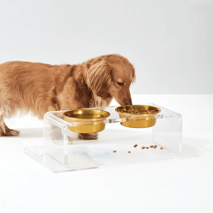 Clear Overflow Pet Feeder Tray – Hiddin
