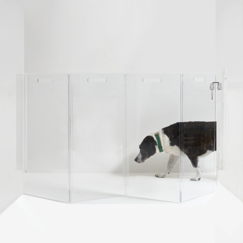 Acrylic gate | Wall Mounted Clear Pet Gate Zig Zag Gate | Hiddin