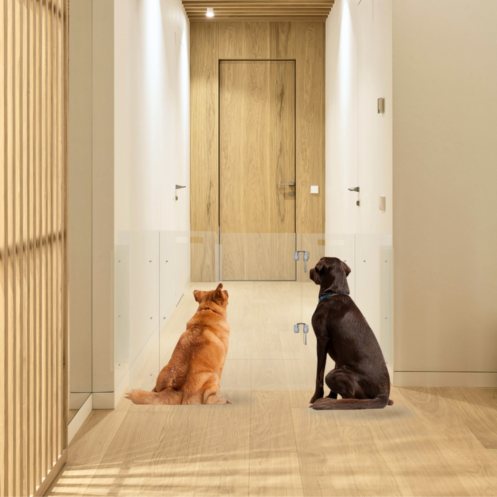 Clear Acrylic Pet Gate | Pet Gates Free Standing | Hiddin